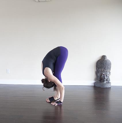 Uttanasana "Forward Fold Pose" – YogaPaws