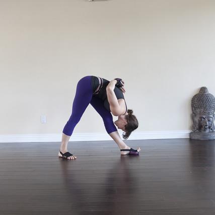 Parsvottanasana "Pyramid Pose" – YogaPaws